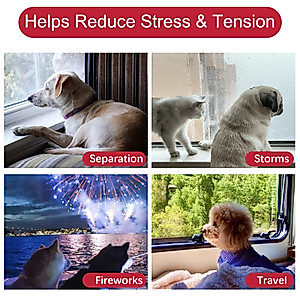 IFOYO Heartbeat Plush Toy, Calming Aid for Puppy (Black), Dog Anxiety Relief, Pet Training, Soft Toy for Small Breeds