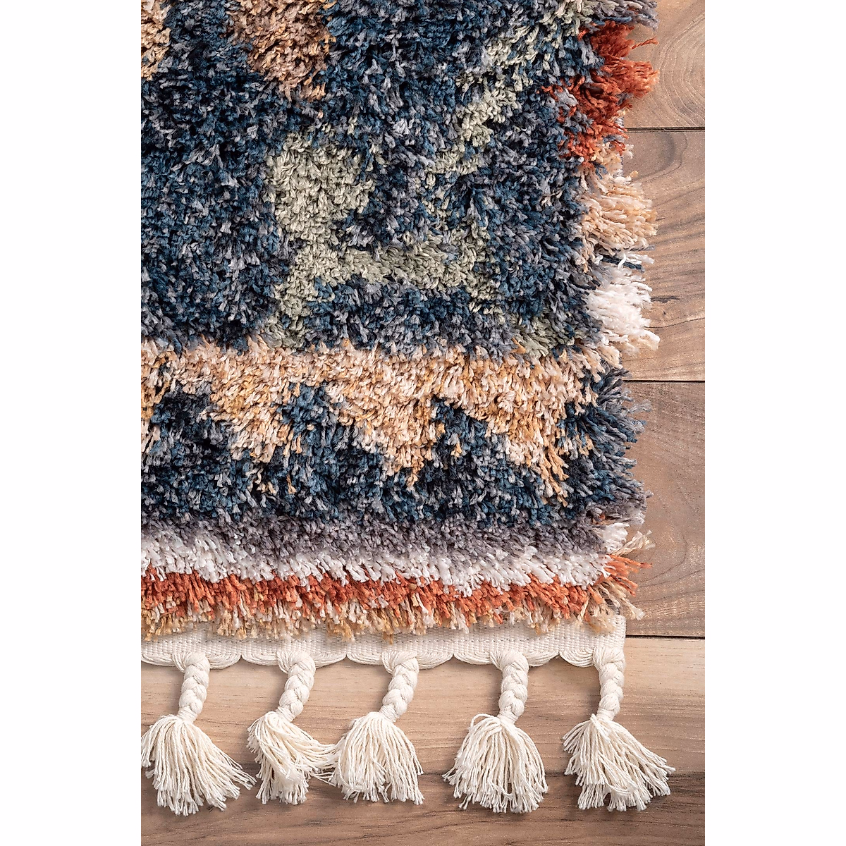 nuLOOM Rosemarie Bohemian Soft Shag Tassel Area Rug, 4' x 6', Blue