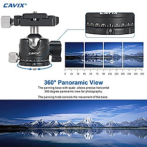 Low Profile Ball Head, CAVIX H-29S Camera Tripod Head Metal Ball Head with Arca Swiss Quick Release Plate Bubble Level Load Capacity 22 Lbs/10kg…