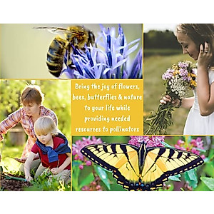 Nuggets of Nectar Pollinator Garden Flower Seed Starter Kit - Grow 6 Types of Wildflower Seeds Including Cosmos, Calendula, Bee Balm, Bachelor Button, Calliopsis and Black Eyed Susan Seeds