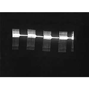 Supershu Vitality Pulp Tester C-Pulse