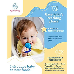 Gedebey Baby Fruit Pacifier Feeder - 2 Pack Silicone Fruit Teethers for Babies | Baby Food Pacifier Feeder | Baby Silicone Feeder for Infants | Baby Feeders for Baby Food Teethers | Baby (Blue&Green)