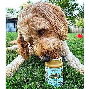 BUDDY BUDDER Bark Bistro Company, Ruff Ruff Raw, 100% Natural Dog Peanut Butter, Healthy Peanut Butter Dog Treats, Dog Enrichment, Dog Pill Pocket, Made in USA, (17 oz Jars)