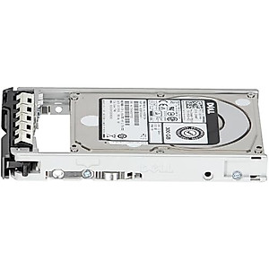 Dell 300GB 10K 12Gbps SAS 2.5 HDD (3NKW7) (Renewed)