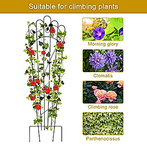 XYADX Meta Detachable Trapezoidal Garden Trellis for Climbing Plants 60 Inches Sturdy Black Patio Plant Support for Indoor Plants Trellis for Rose, Vegetable Flower, Backyard Pack of 2 - Black