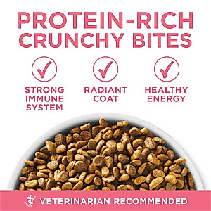 Purina ONE High Protein, Natural Dry Kitten Food, +Plus Healthy Kitten Formula - 16 lb. Bag