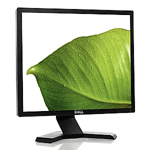 Dell E190S 19" Inch Flat Panel Screen LCD Monitor