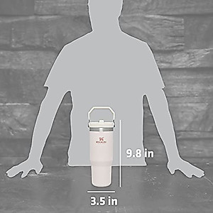 Stanley IceFlow Stainless Steel Tumbler with Straw - Vacuum Insulated Water Bottle for Home, Office or Car - Reusable Cup with Straw Leakproof Flip - Cold for 12 Hrs or Iced for 2 Days