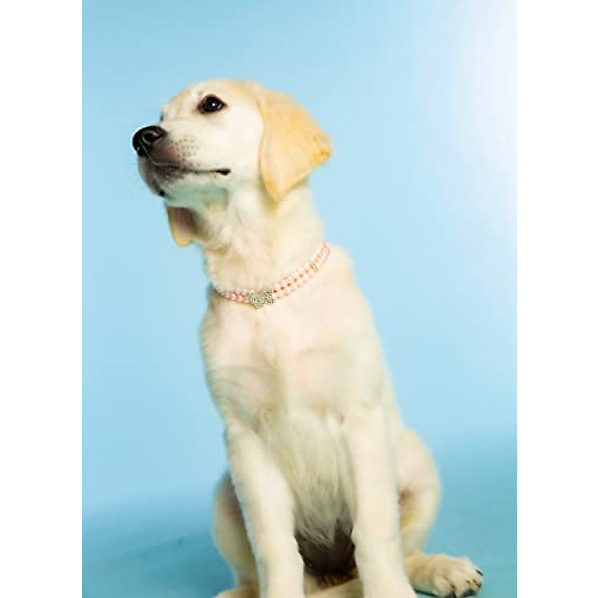 Pink Sparkling Butterfly Neck Piece - XS/S