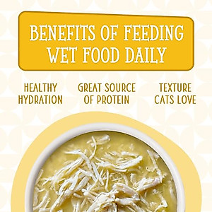 Weruva Cats in The Kitchen, Pumpkin Lickin' Chicken with Chicken Breast in Pumpkin Soup Cat Food, 3oz Pouch (Pack of 12)