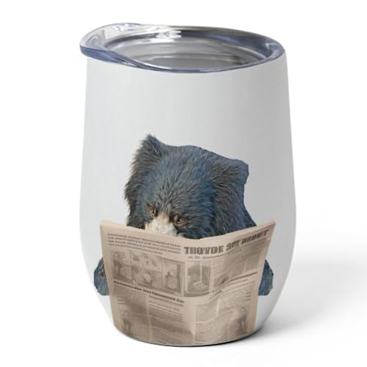 Sloth Bear Reading Newspaper Tumbler 12oz Stainless Steel Vacuum Insulated Wine Cup With Lid - Gifts for Bear Lovers