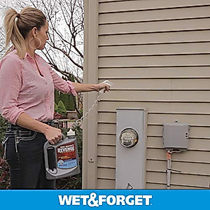 Wet and Forget 00041 1/2 Gallon Miss Muffet's Revenge Spider Killer, 2-Pack