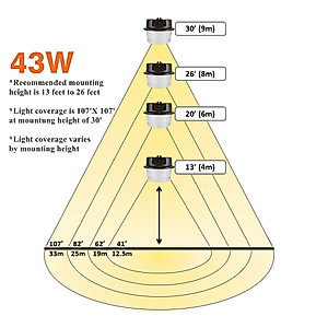 TERRASON LED Security Area Light 43 Watts - Barn Light Dusk to Dawn with Photocell - Ultra Bright Yard Light 5500 Lumens, 5000K, 400W Incandescent or 150W HID Light Equal