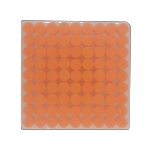 81PCS Cryo Tubes 2ml, Plastic Small vials with Screw caps Sample Tubes,PP Material ，with Silica Gel Gasket，Free from DNase, RNase, Human DNA