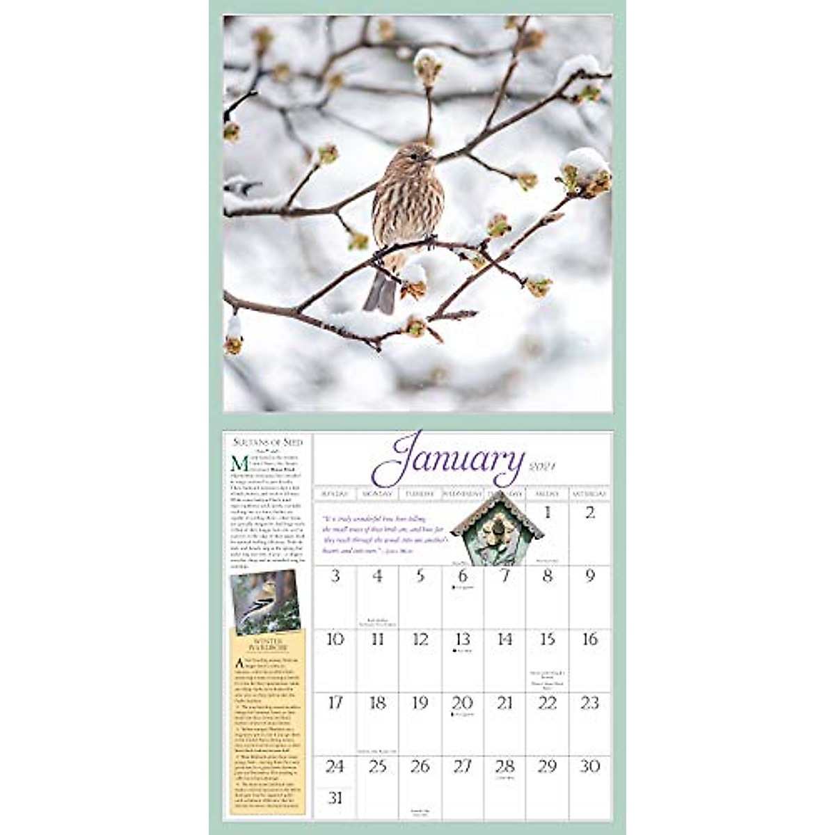 Audubon Birds in the Garden Wall Calendar 2021