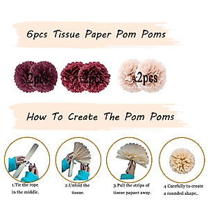 60th birthday decorations women – Rose gold 60 birthday party supplies for Happy Womens with Fabulous Champagne burgundy flowers Balloons Tissues Decor (burgundy + Champagne)