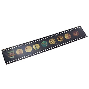 EISCO 2 Piece Micro-Slide Viewer & Viewer Set - Includes One Economy Microscope & Slide Strip - Easy to Use - A Great Introduction Kit for Microscopy and at Home Learning