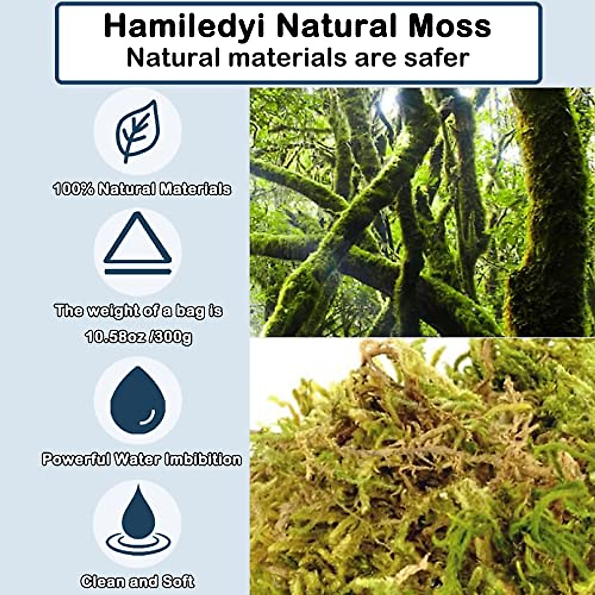 Hamiledyi Natural Sphagnum Moss Bedding Reptile Moss for Frogs Toads Salamanders Turtles Anoles or Green Snakes and Other Reptiles and Amphibians (10.58 OZ)