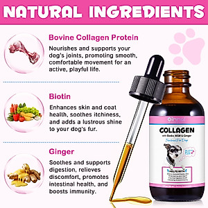 Liquid Collagen for Dogs | Collagen for Dogs | Liquid Collagen for Dogs | Liquid Collagen Skin and Coat | Itch Relief for Dogs with Allergies | Skin and Coat Supplement for Dogs Bacon Flavor 2fl.oz