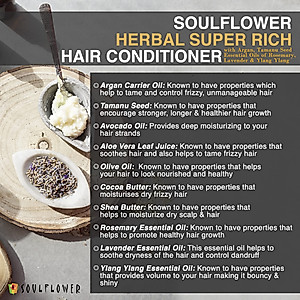 Soulflower ROSEMARY ARGAN HAIR CONDITIONER FOR FRIZZY HAIR, WITH LAVENDER ESSENTIAL OIL, TAMANU SEED, COCOA & SHEA BUTTER, SULFATE FREE, 250ML/ 8.45 FL OZ