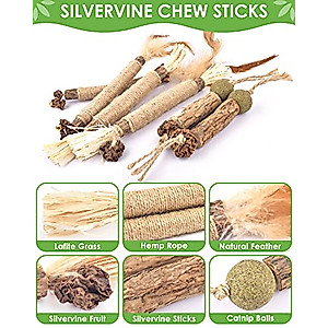 Catnip Chew Toys for Cats, 12 Pack Natural Silvervine Sticks for Kittens Teeth Cleaning, Matatabi Dental Care, Increase Appetite, Calm Cat Anxiety and Stress, Aggressive Chewers Cat Dental Toy