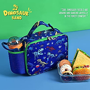 Fossils Dinosaur Lunch Box - Insulated Kids Lunch Box for Boys Lunch Bag School Preschool Kindergarten Elementary Picnic Lunch Tote Bag Waterproof Reusable Lunchbox with Handle and Pocket