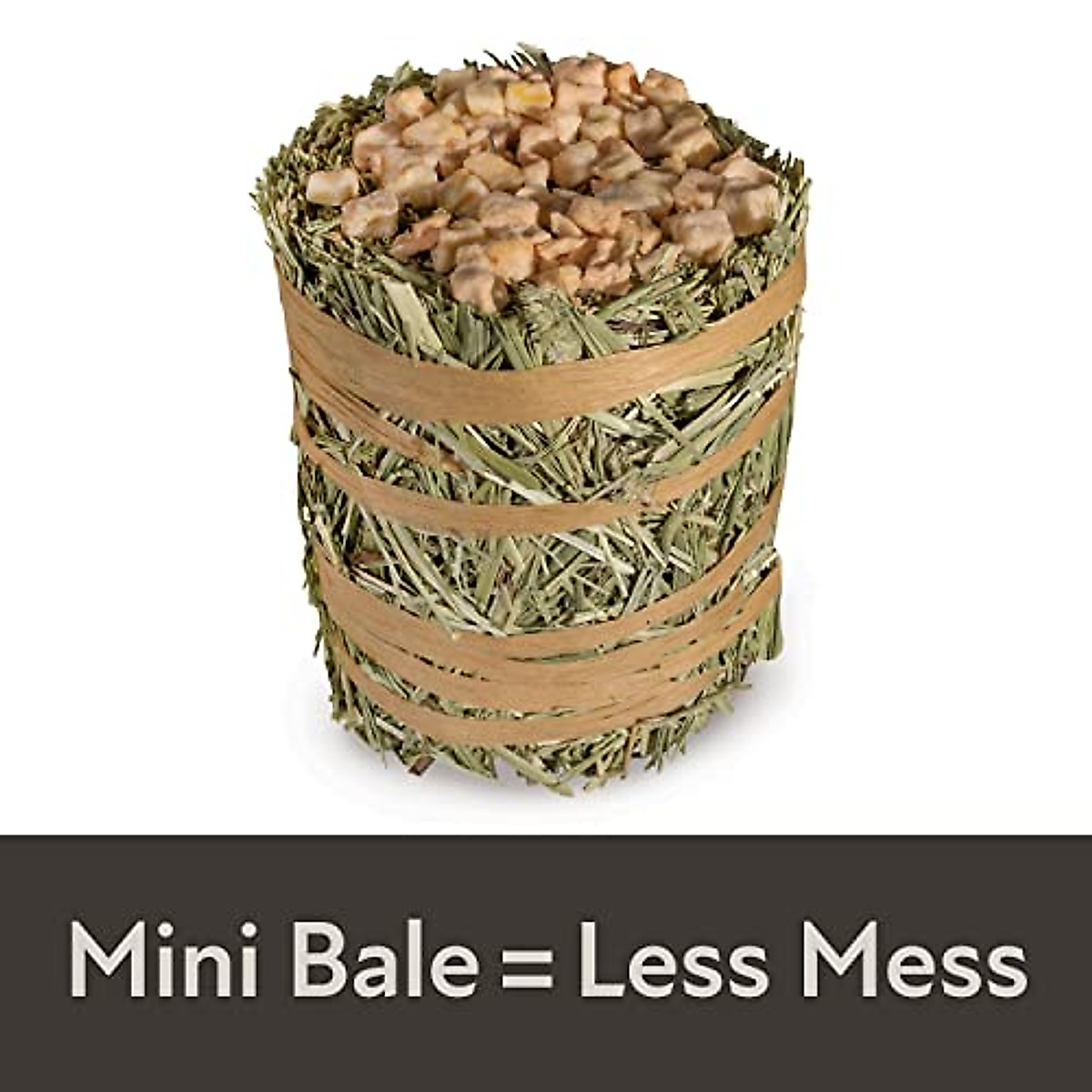 Kaytee Field+Forest Mini Hay Bale with Apple