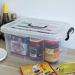 EudokkyNA 8 Liter Plastic Storage Box with Handle, 2-Pack Clear Storage Bin