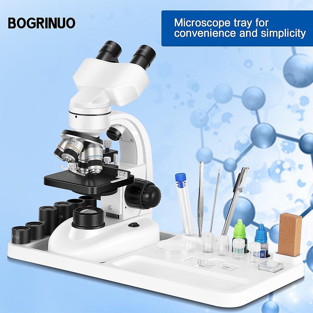 Compound Binocular Microscope, WF10x and WF25x Eyepieces,40X-2000X Magnification, LED Illumination Two-Layer Mechanical Stage (Binocular Four-Hole Microscope)