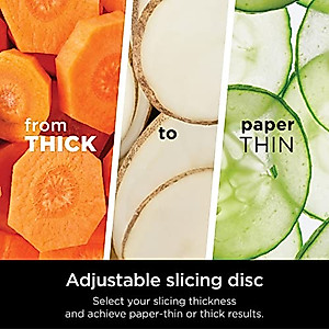 Ninja NF705BRN Professional XL Food Processor, 1200 Peak-Watts. 4 Functions for Chopping, Slicing/Shredding, Purees, Dough. 12-Cup Processor Bowl, 2 Blades/Discs, Feed Chute/Pusher, Storage Box, Black