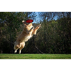 Hyper Pet Flippy Flopper Dog Frisbee Interactive Dog Toys [Flying Disc Dog Fetch Toy – Floats in Water & Safe on Teeth] (Colors Will Vary), Multicolor, 9"