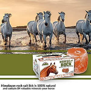 Himalayan Nature Horse Rock Salt, Animal Lick Salt - 8lbs, Elk