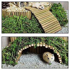 Hamster Guinea Pig Chew Toys, Hamster Rat Gerbil Mice Toys with Climbing Ladder and Hideout, Hamster Exercise Accessories for Syrian Dwarf Hamsters