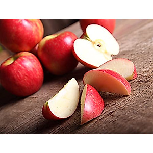 2 Honeycrisp Apple Tree Live Plant 1Ft to 2Ft Fruit Tree Tall No Ship CA Planting Ornaments Perennial Garden Ready to Grow Pots