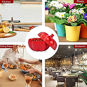 2 Pack Gnat Killer for Indoor, Gnat Trap Catcher for Kitchen/Home, Fruit Fly Traps Indoors