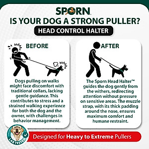 Sporn YUP! Pet Head Halter, Medium, Black, (33571)