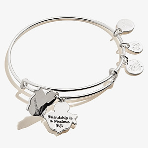 Alex and Ani Iris Sentimental Slider Charm Bangle Bracelet - Shiny Silver Finish - 2 to 3.5 in