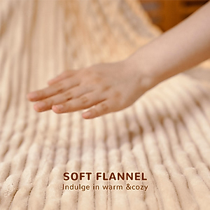 HOMISPRITE Heated Blanket Full Size 72"x84",ETL Certification- 6 Heating Levels Electric Blanket&1-10 Hour Auto Off,Heating Blanket with Dual Controller(Beige)