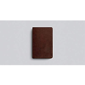 ESV Large Print Personal Size Bible (TruTone, Chestnut)