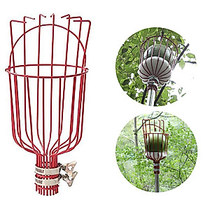 DIIG Fruit Picker, 5.5 Foot Fruit Picker Tool with Stainless Steel Connecting Pole, Fruit Picking Equipment for Getting Fruits Lemons Apples Guavas Avocados Pears Mangoes Oranges