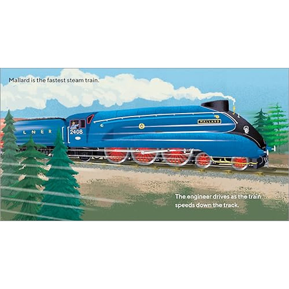 Trains Coming Through!: My First Book of Trains