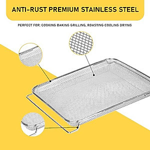 DT251 Air Fry Basket Replacement Compatible with Ninja Foodi DT251, DT201, DT200 Air Fryer Oven, Stainless Steel Air Fryer Basket, Ideal Accessories for Air Frying and Dehydrating, 2 Pack