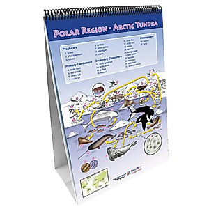 NewPath Learning - 34-6305 10 Piece Food Chains/Food Webs Curriculum Mastery Flip Chart Set, Grade 5-10