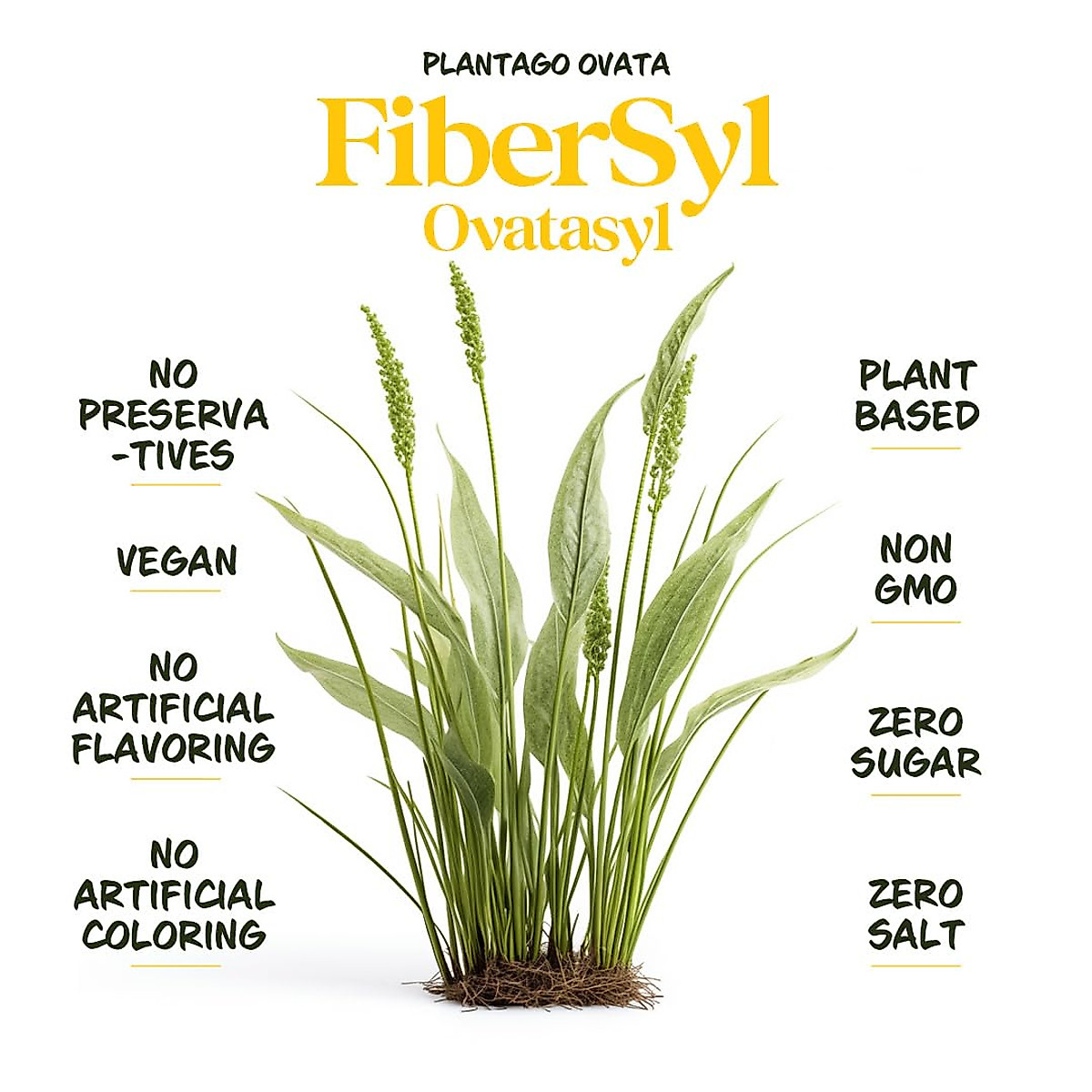 Vegan Fiber Capsules for Cats Digestive Supplement, Ovatasyl 500 mg Psyllium Seed Husks, Constipation, Hairballs, Pet Essentials & Wellbeing, 100 Vegan Capsules