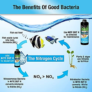 MicrobeLift NiteOut II (16 oz)