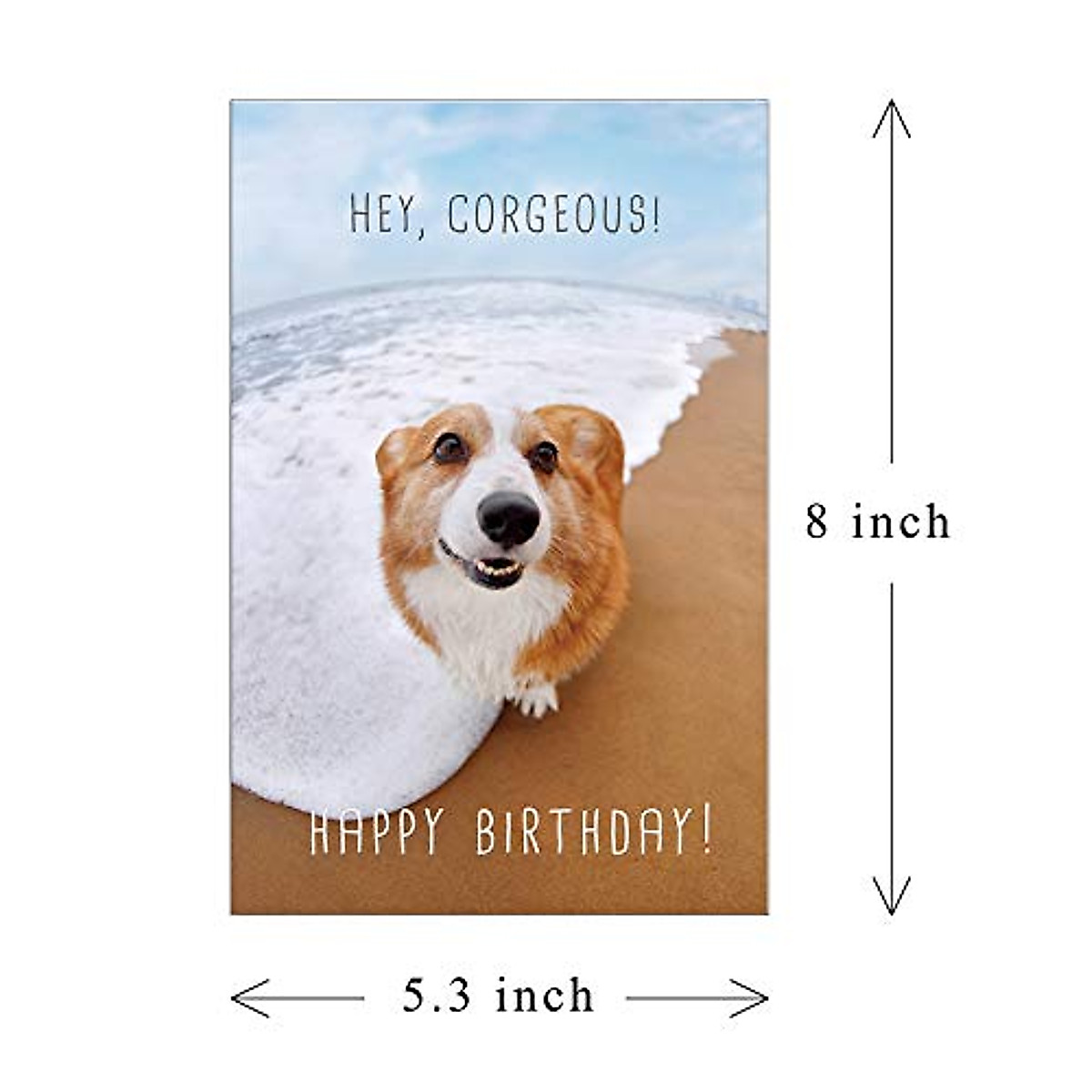 Maplelon Corgi Birthday Card, Corgeous Dog Bday Card for Husband Boyfriend Friend Corgi Lover, Funny Card