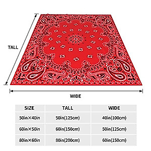 Paisley Soft Blanket All Season Fuzzy Throw Warm Lightweight Blanket Flannel Blankets Fleece Throws for Bed Sofa Couch Travel Home Living Room Decor 80"x60"