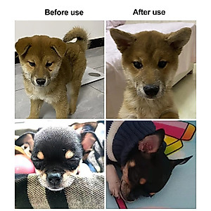 1 Pair Dog Ear Stand Sticker Up Support Tool, Dog Ear Fixed Correction Vertical Holder, Dog Ear Cover Ear Stand Up, Doberman Ear Posting Kit for Doberman Pinscher Dog(10 * 5cm)