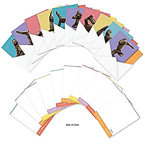 The Best Card Company - 10 Blank Yoga Note Cards (4x 5.12 Inch) - Boxed Notecards with Envelopes, Cute Animal Cards, Zen Assortment - Sloth Yoga AMQ6255OCB-B1x10