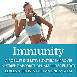 Morter HealthSystem Alkadophilus (2 Pack) Best Process Alkaline — No Refrigeration Probiotic & Prebiotic Digestive Supplement — 1.5 Billion CFU of Good Bacteria & Beetroot